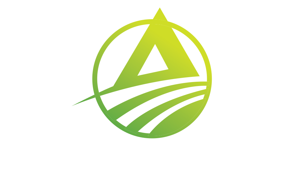 ATA GROUP